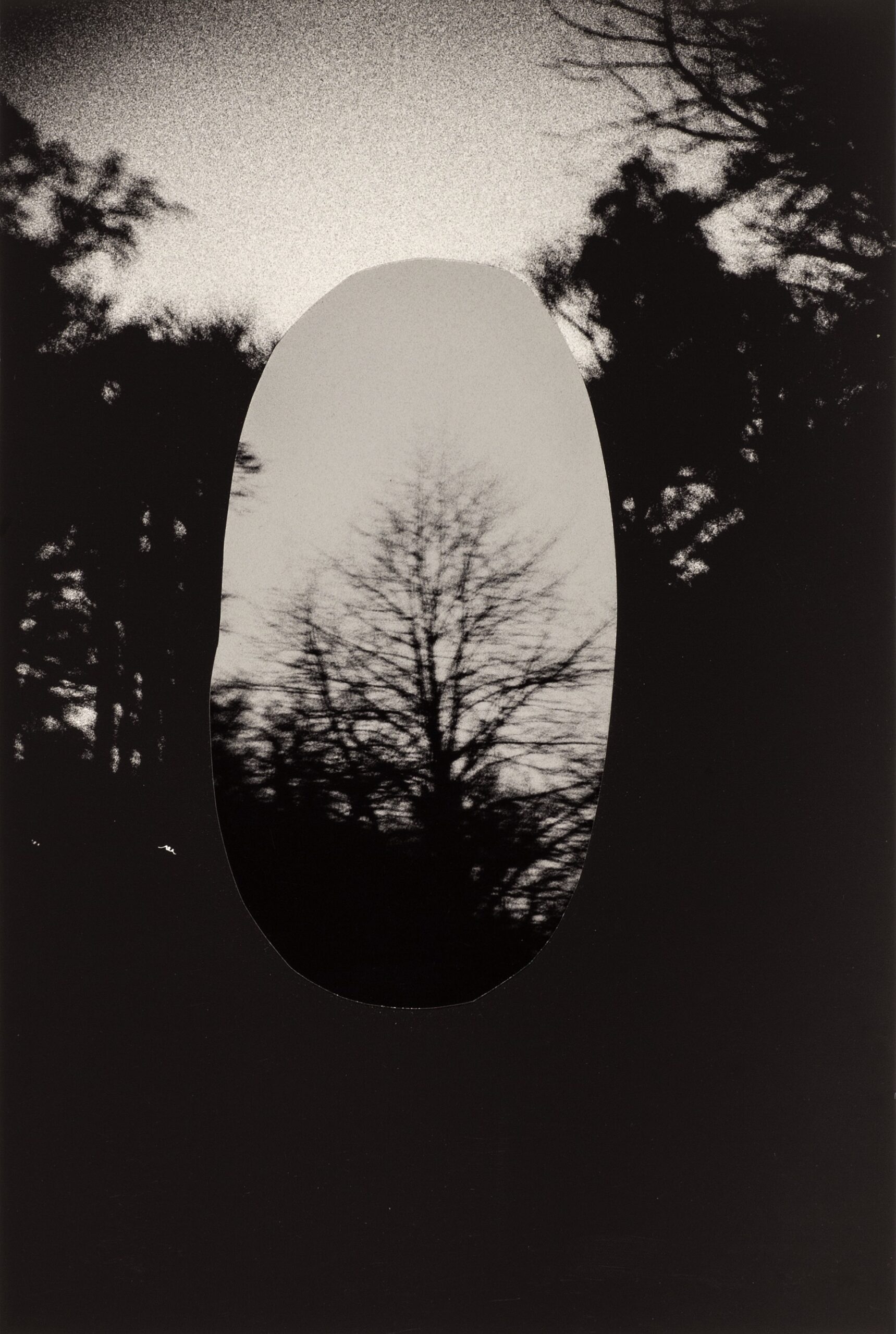 Collage – Sebastian Fritzsch