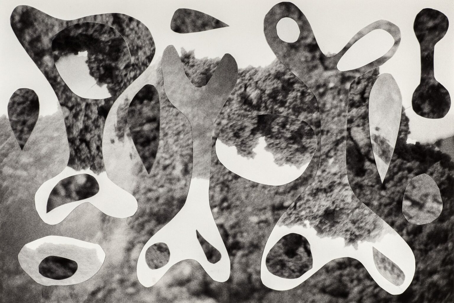 Collage – Sebastian Fritzsch