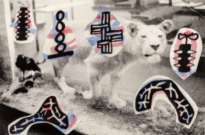 Collage – Sebastian Fritzsch